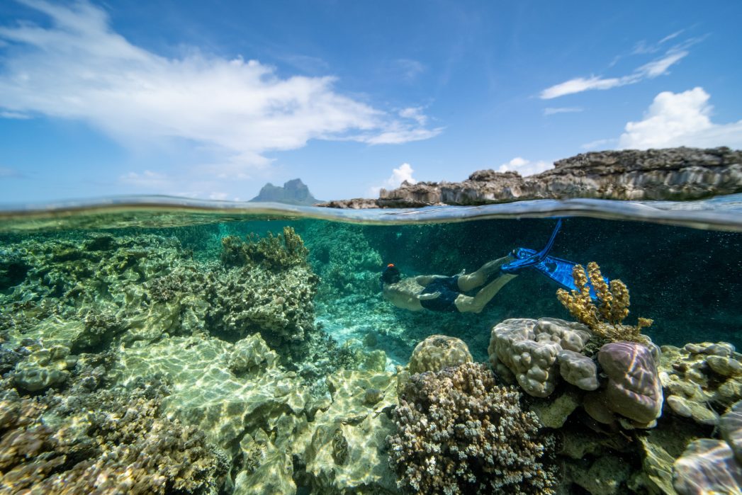 Reef Discovery | Snorkeling and Cruise Tours Bora Bora